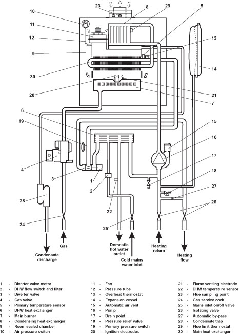 Alpha HE25 | Alpha Boilers Guide